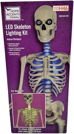 Home Accents Holiday Led 12 Ft Skelly Lighting Kit Giant