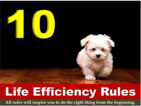 10 Life Efficiency Rules Ppsx