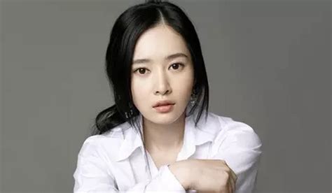 Discuss Everything About Plants Vs Zombies Wiki Fandom