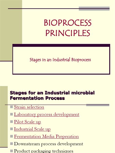 2017 Bioprocess Principles Module 1 Part D Pdf Strain Biology