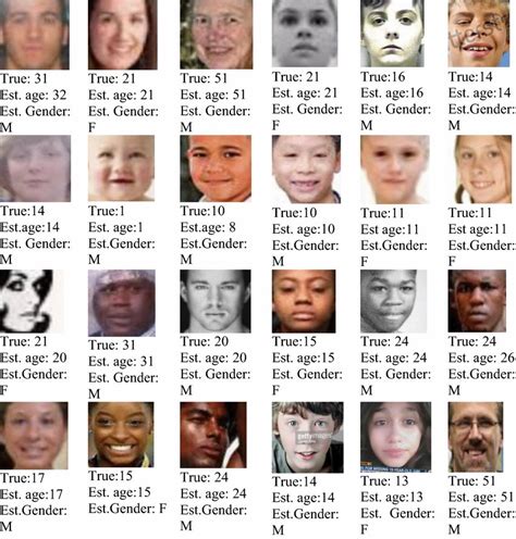 Successful Age And Gender Prediction Of Challenging Face Images From Download Scientific