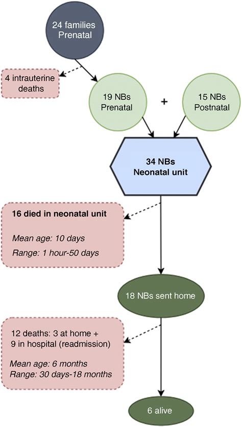Structured Programs In Perinatal Palliative Care Improve Medical Assistance Anales De Pediatría
