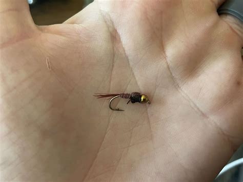 What Size Split Shot For Trout Size And When To Use Them Anglerwise