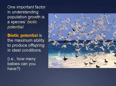 Population Ecology Part Two Population Growth Developed By