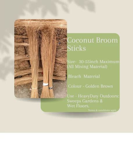 Natural Pan Ka Patta Packaging Type Pp Bag Grade A Grade At Rs 109 Piece In Kolkata