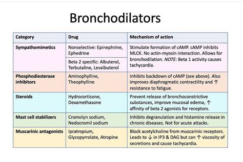 Bronchodilator What Is It At Sara Wallen Blog