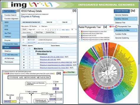 Comparative Analysis Tools I A Pathway Is Selected From The List Of Download Scientific