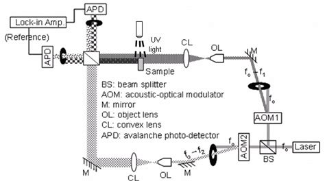 Scheme Of Home Made Common Path Heterodyne Interferometer Download