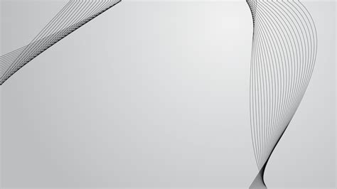 Premium Vector Gray Gradient With Cuve Line Background Wallpaper