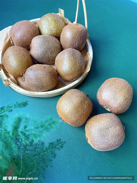 猕猴桃摄影图水果生物世界摄影图库昵图网