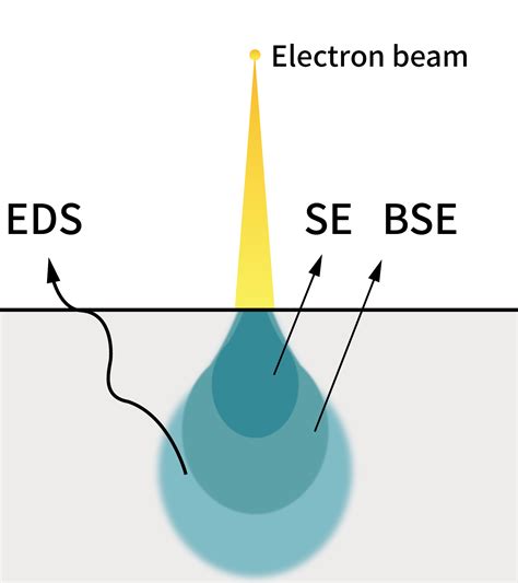 Sem與eds技術整合：為產業提高分析效率 英商飛奈儀器