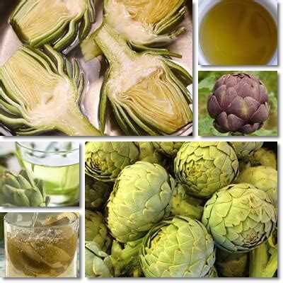 Properties And Benefits Of Artichoke Tea Natureword