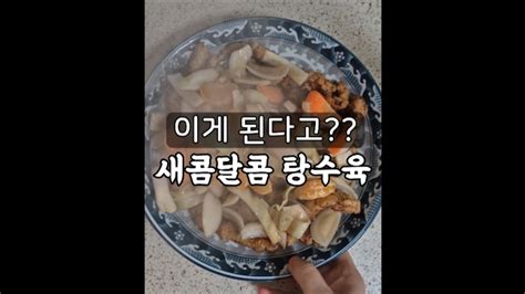 이게 된다고집에서도 쉽게 만드는 바삭한 탕수육 Youtube