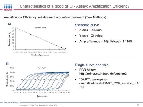 Introduction To Real Time Quantitative Pcr Qpcr Download The Slides Pdf