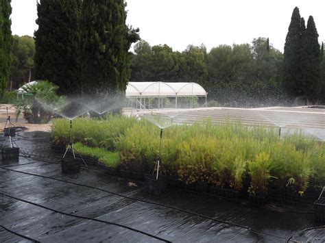 Nuevo Invernadero Para El Centro De Conservación De Flora Silvestre Elclickverde
