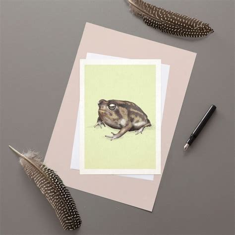 Namaqua Rainfrog Greeting Card Hidden Planet Ben Rothery