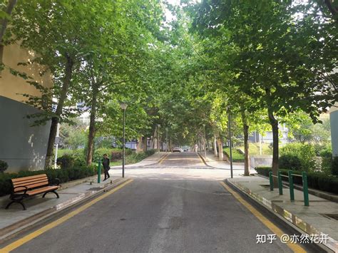 请示的特点、分类与写作技巧 知乎