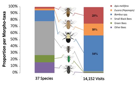 Insect Reproduction Rate
