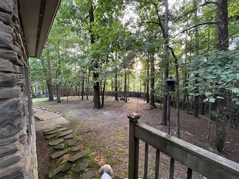 Moss Moss And More Moss How Can I Get It Even Mossier I Love Moss R Landscaping