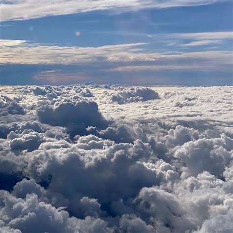 The Backyardigans Cave Party The Tea Party Dvd Hobbies And Toys Music