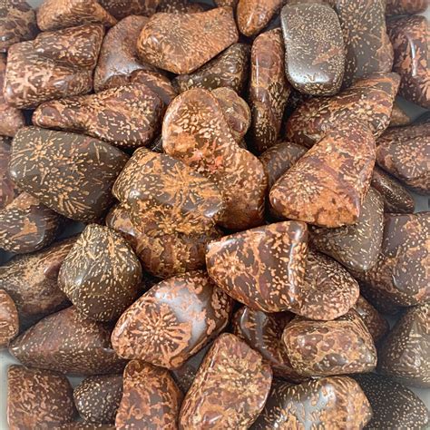 Jasper Star Tumbled Stones Rounded Free Form Cosmic Crystals