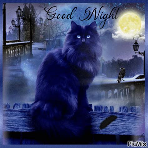 Good Night Cat Animated 