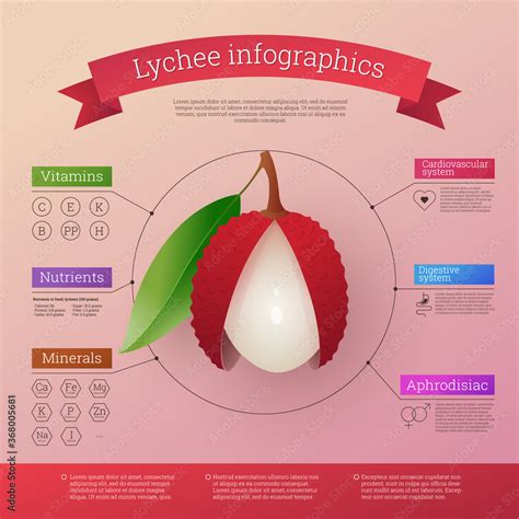 Lychee Fruit Infographics Calories Vitamins And Minerals Healthy Facts Value Nutritional