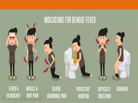 Dengue Fever And Dengue Hemorrhagic Fever Pptx