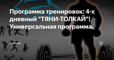 Программа тренировок 4 х дневный ТЯНИ ТОЛКАЙ Универсальная программа Body кач Дзен