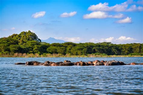 Nature Based Solutions Initiative Ecosystem Based Adaptation In Lake