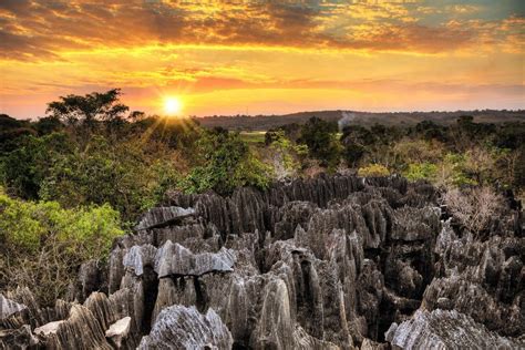 Parc National Tsingy De Bemaraha Guide Madagascar Détours Madagascar