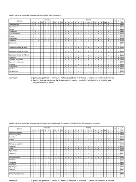 Karakter Biokimiawi Khamir Pdf