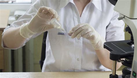 Microscopy Of Urine Microscopy Analysis Stock Image Image Of