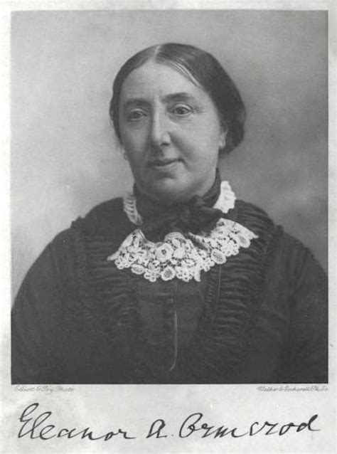 Eleanor Anne Ormerod 1828 1901 Economic Entomologist