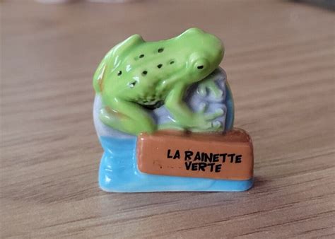 Rainettes Vertes Rainettes Vertes En Zones Bruyantes France Culture