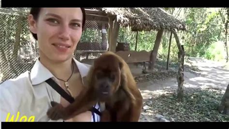 Try Not To Laughmonkeys Playing With Girls Boobs Compilation Animal