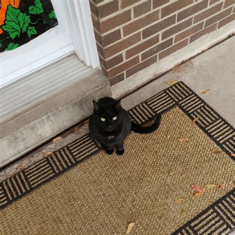 Thomas Sutherland Genuinethomassutherland On Threads