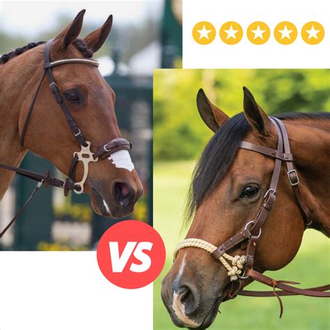 Bitless Bridles Vs Hackamore Read This Before You Buy One Ergotack