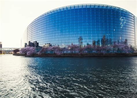 The Omnibus Legislation And Csrd What Businesses Need To Know