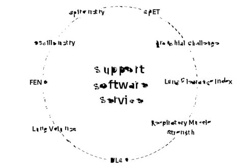 Compas™ Pulmonary Assessment System Vitalograph