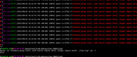 one bug about the commitmerge when tikv disk full · issue 10960 · tikv