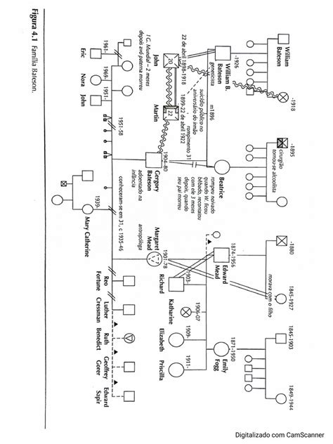 Genograma Gregory Bateson Pdf