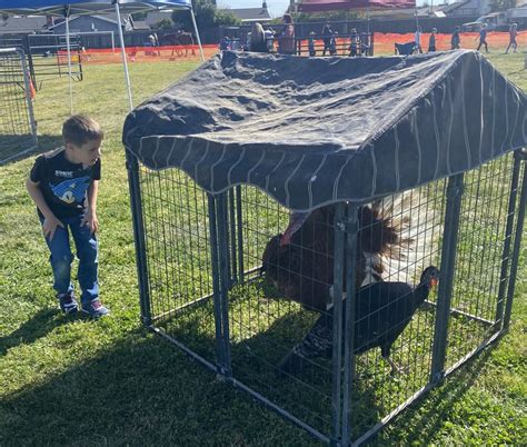 Cloverland Elementary Celebrates Annual Ag Day Oakdale Leader