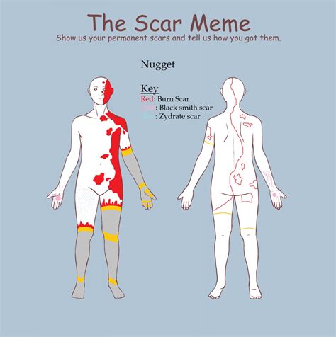 Nugget Scar Chart By Anniekitty Fur Affinity Dot Net