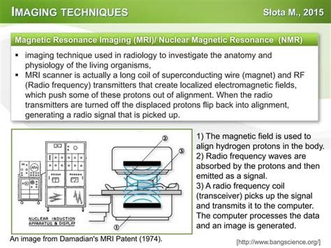 Phenotyping Of Plant Root Systems Ppt