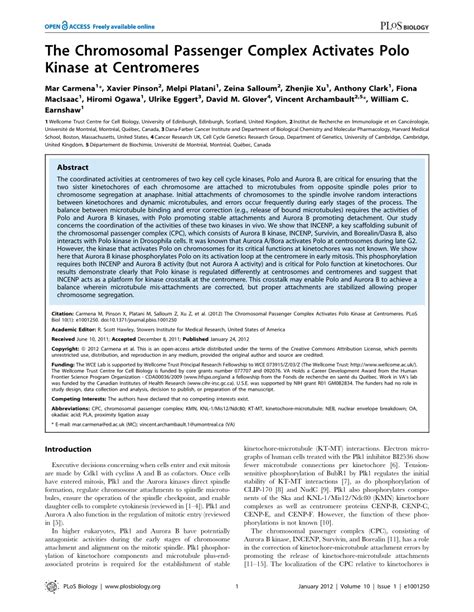 Pdf Correction The Chromosomal Passenger Complex Activates Polo