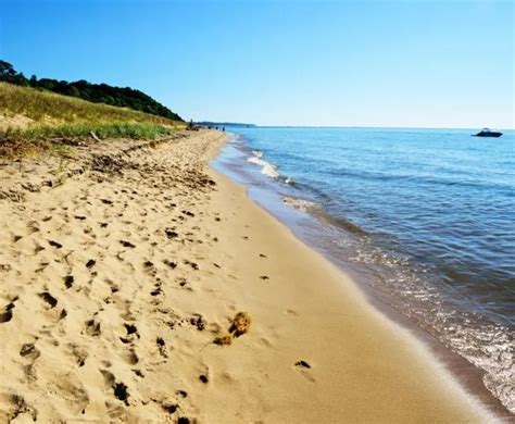 Discover Beautiful Oval Beach In Saugatuck Mi My Michigan Beach And