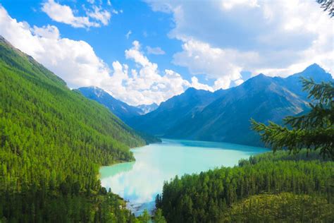 Home Environmental System Science Program Environmental System Science Program