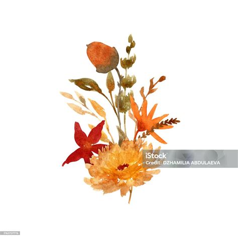 수채화 가을 말린 꽃과 나뭇잎 배열은 흰색 배경에 고립되어 있습니다 손으로 그린 꽃 그림입니다 인사말 카드 문구류 초대장 포장의 디자인에 대 한 식물 클립 아트 0명에 대한