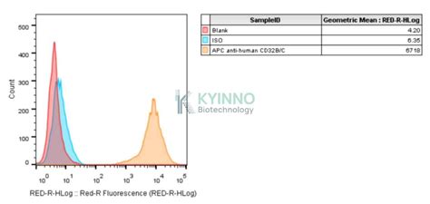 Chok1 Human Fcgr2b Cell Line Kyinno Bio